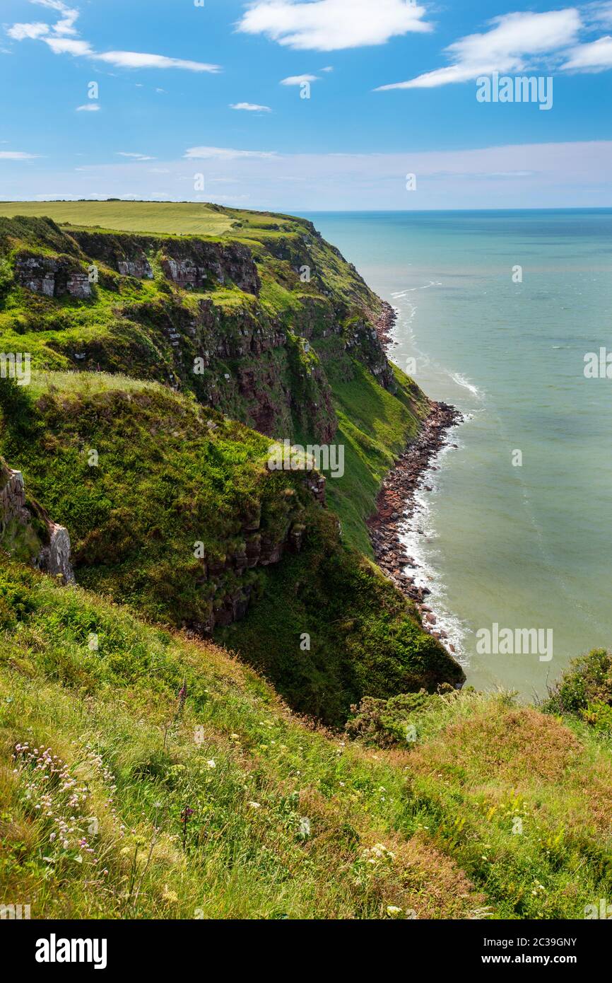 Sandwith hi-res stock photography and images - Alamy