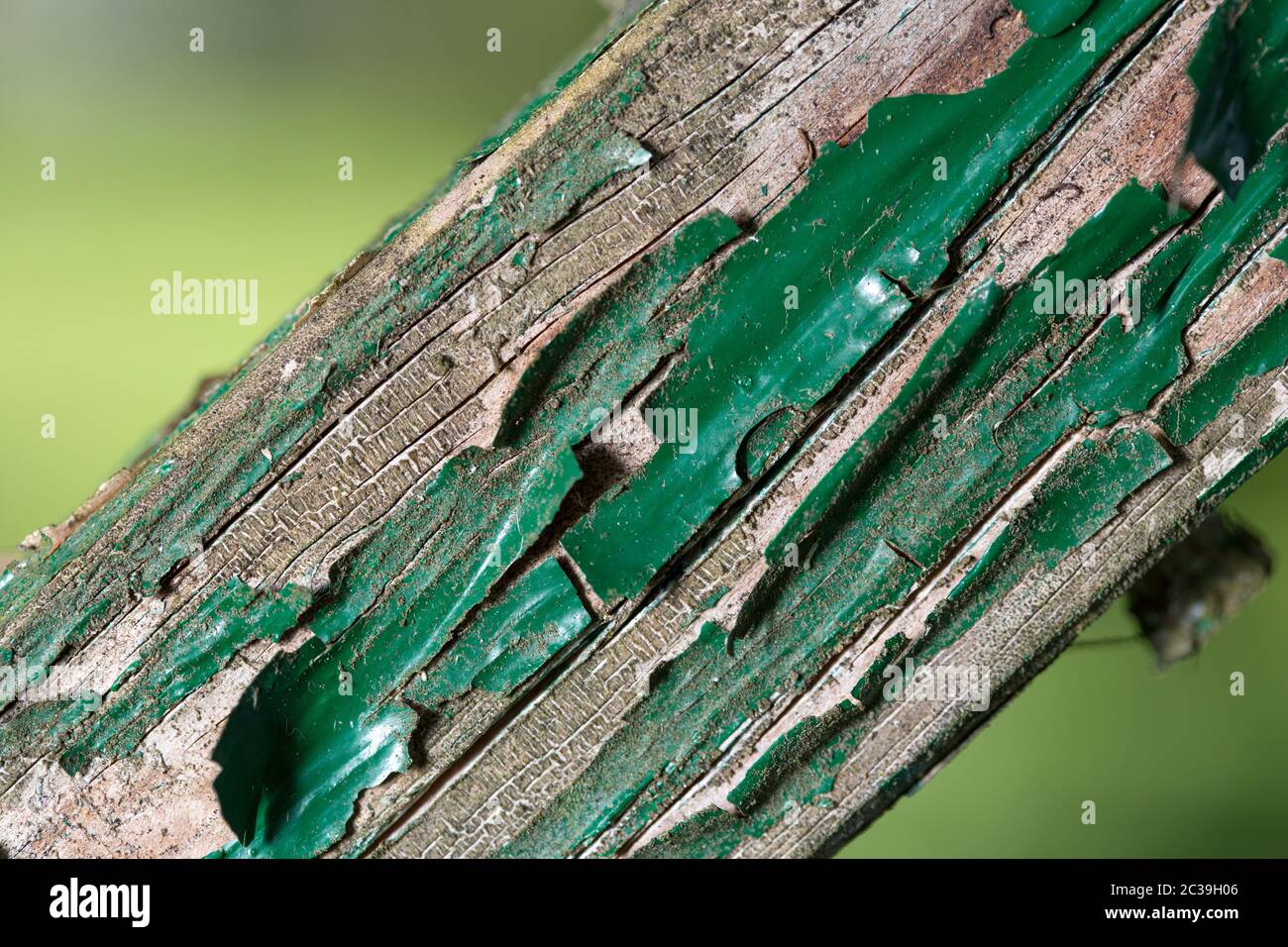 Old wood texture in a farm, outdoor Stock Photo - Alamy