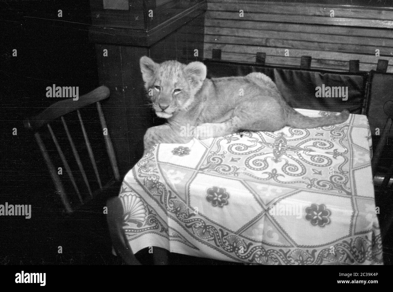 Restaurant bizarre Black and White Stock Photos & Images - Alamy