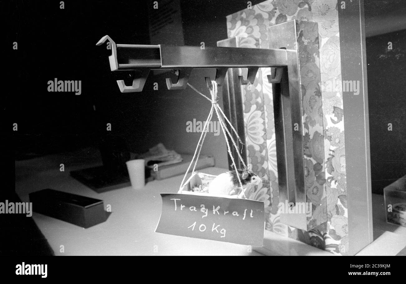 A mouse is used at the "Inventors and Innovations Exhibition" in ...