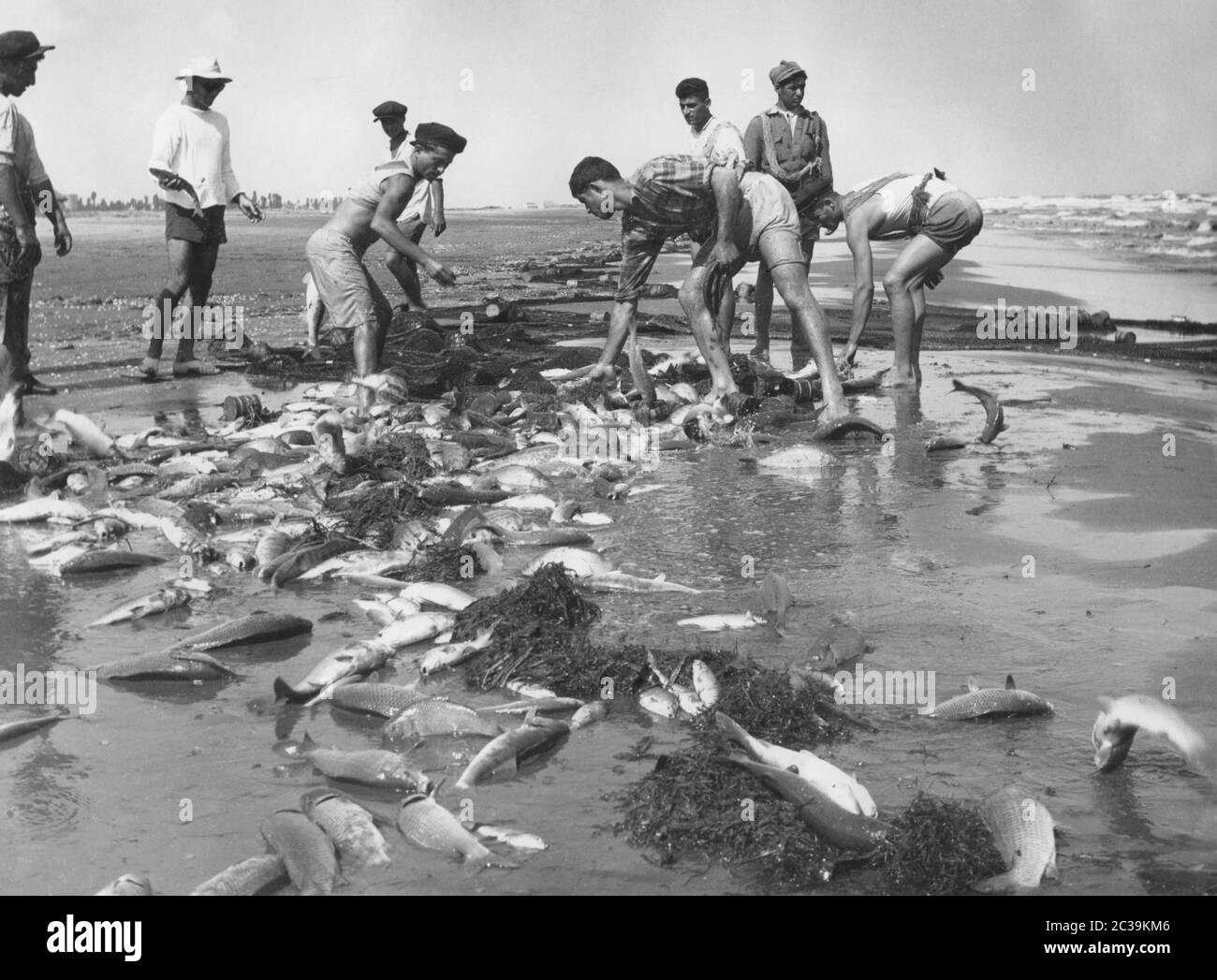1950s fisherman hi-res stock photography and images - Alamy