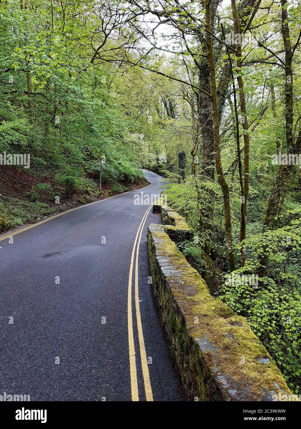 The road leading through woodland up Stock Ghyll in Ambleside, Lake ...