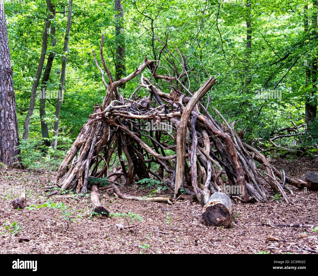 Survival shelter made of tree branches in Briesetal nature reserve in a ...