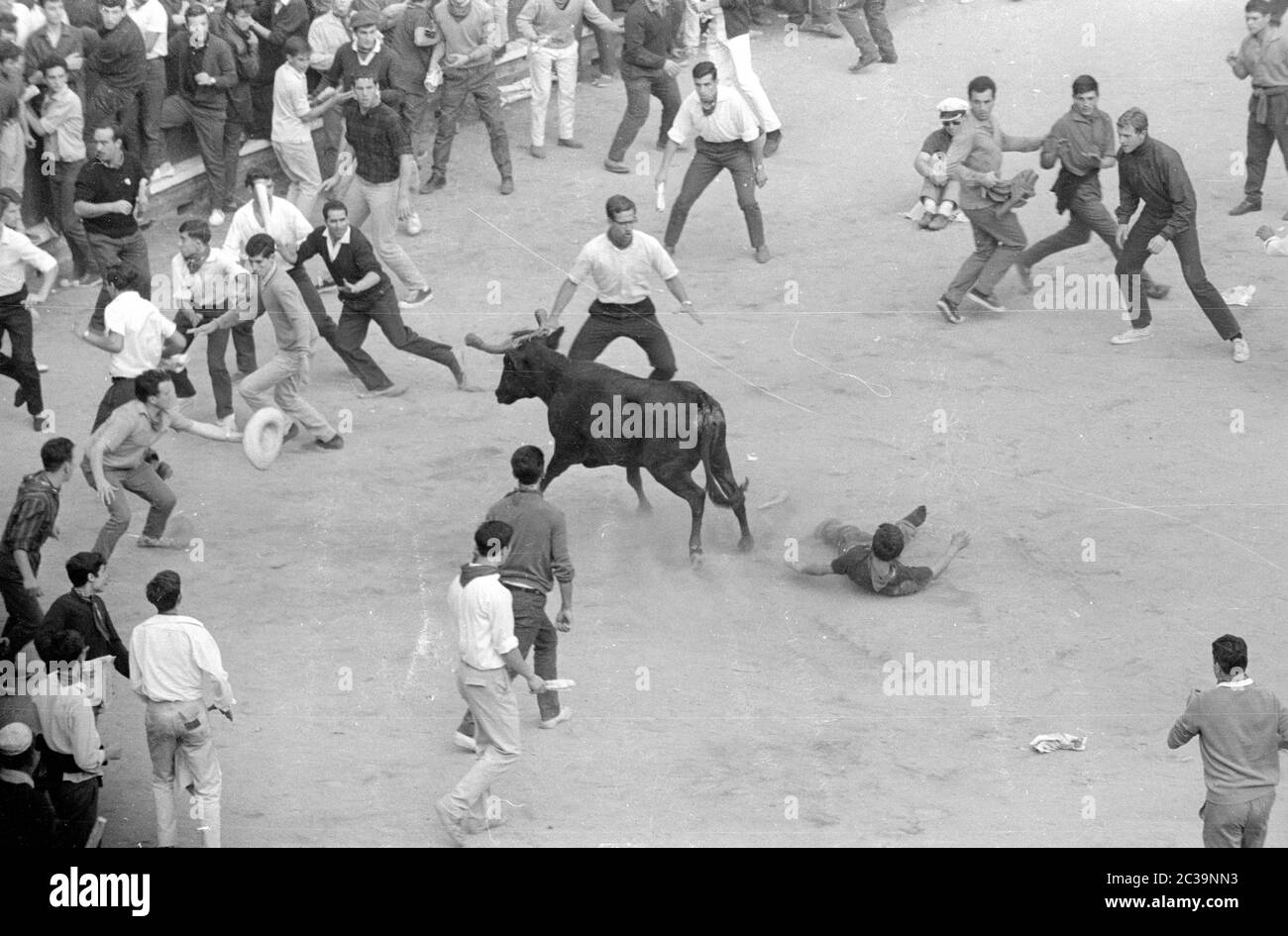 Young men on the streets at a running of the bulls Stock Photo - Alamy