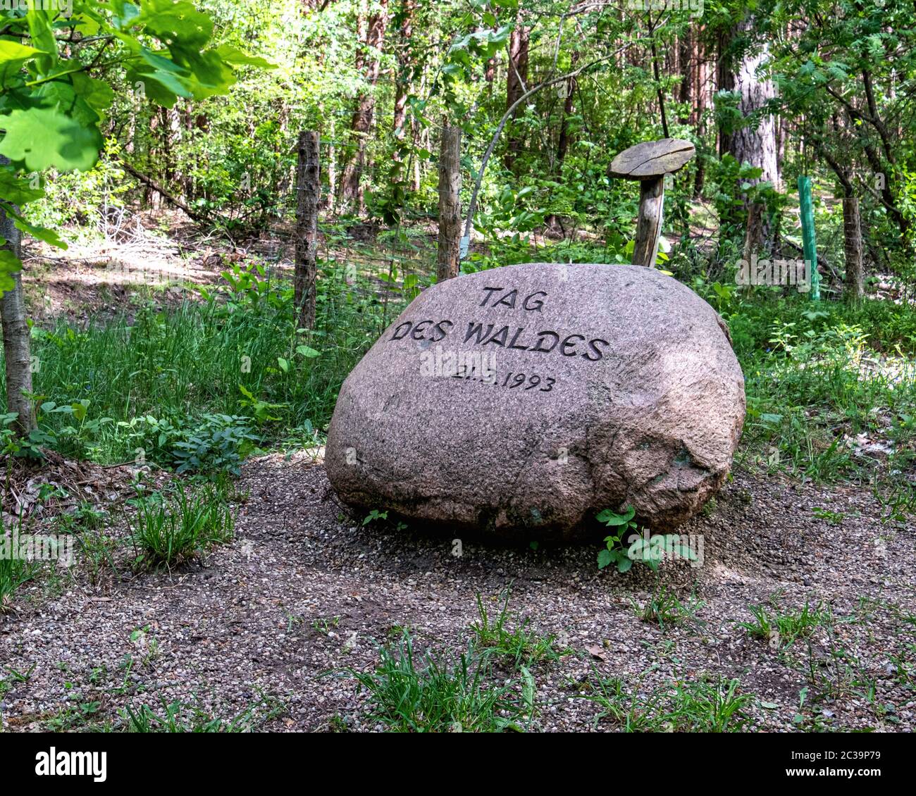 Day of the forest memorial stone in Briesetal nature reserve in a small ...