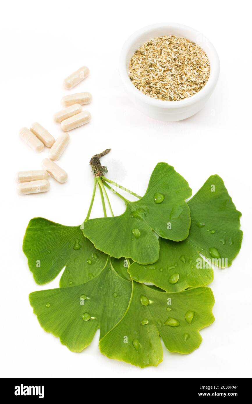fresh ginkgo leaves with dried herb and capsules on white background ...