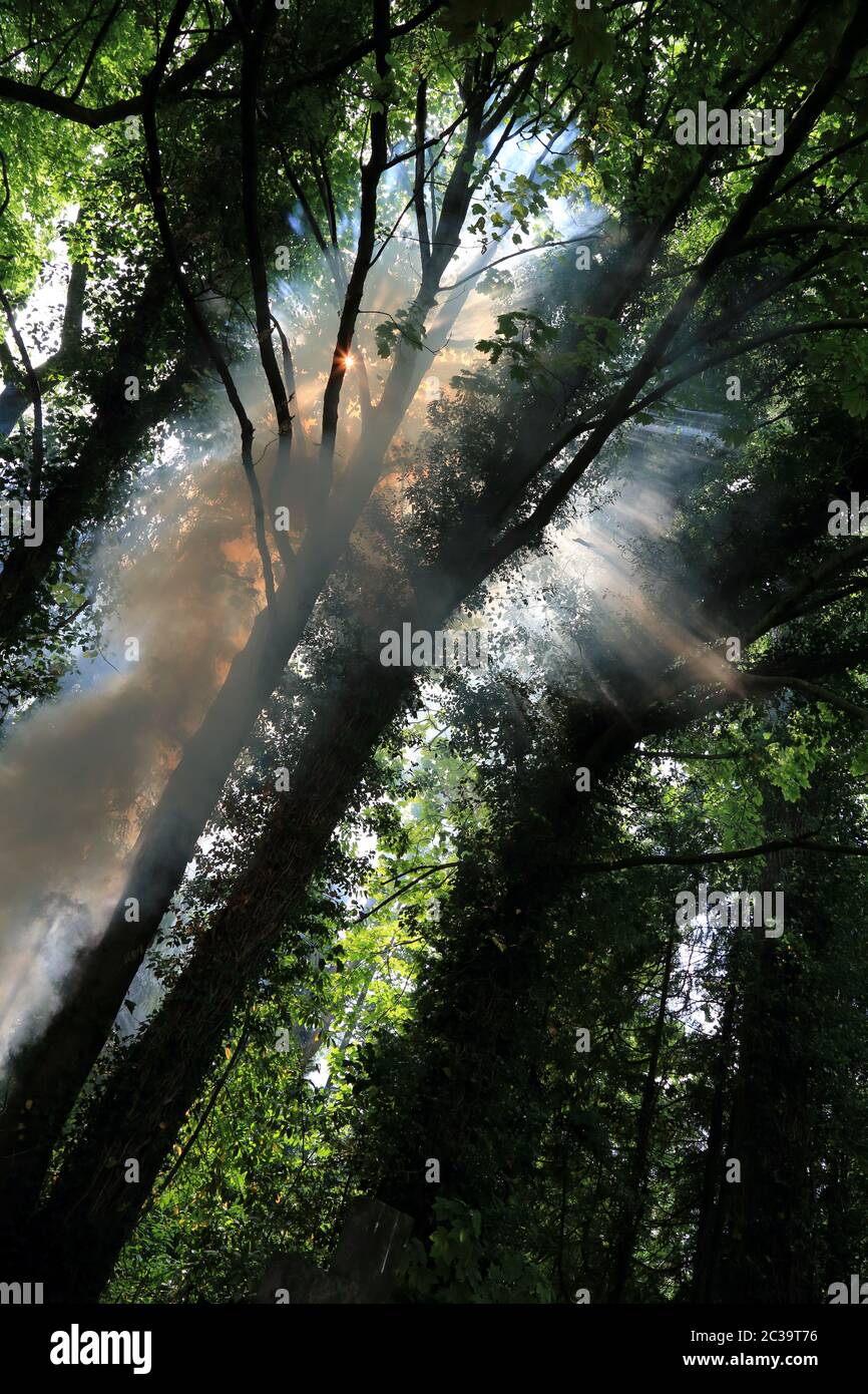 Bonfire smoke rising through hi-res stock photography and images - Alamy