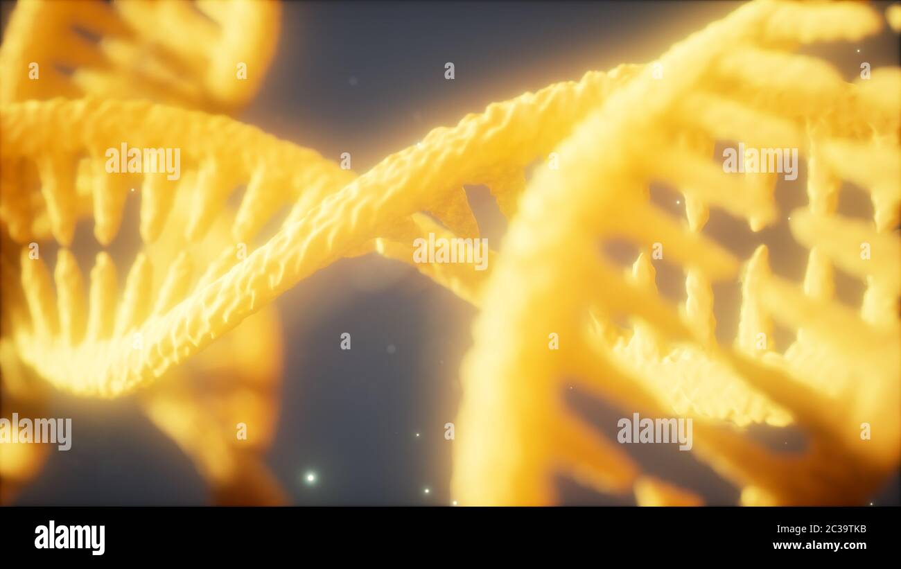 double helical structure of dna strand close-up animation Stock Photo ...