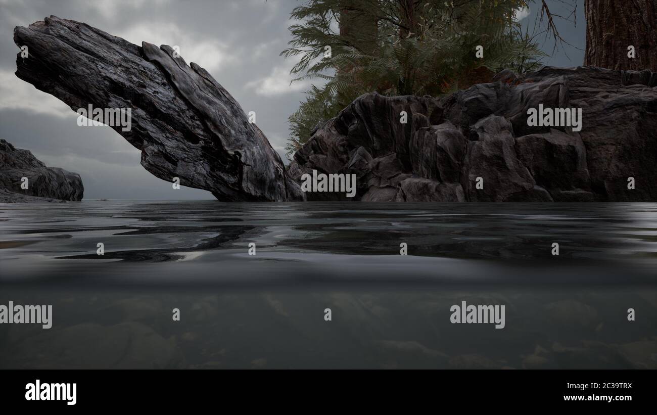 Half submerged rock hi-res stock photography and images - Alamy