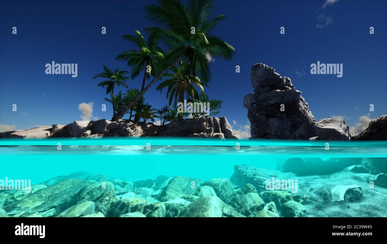 Split view cross section of sea water and palm trees on Island Stock ...