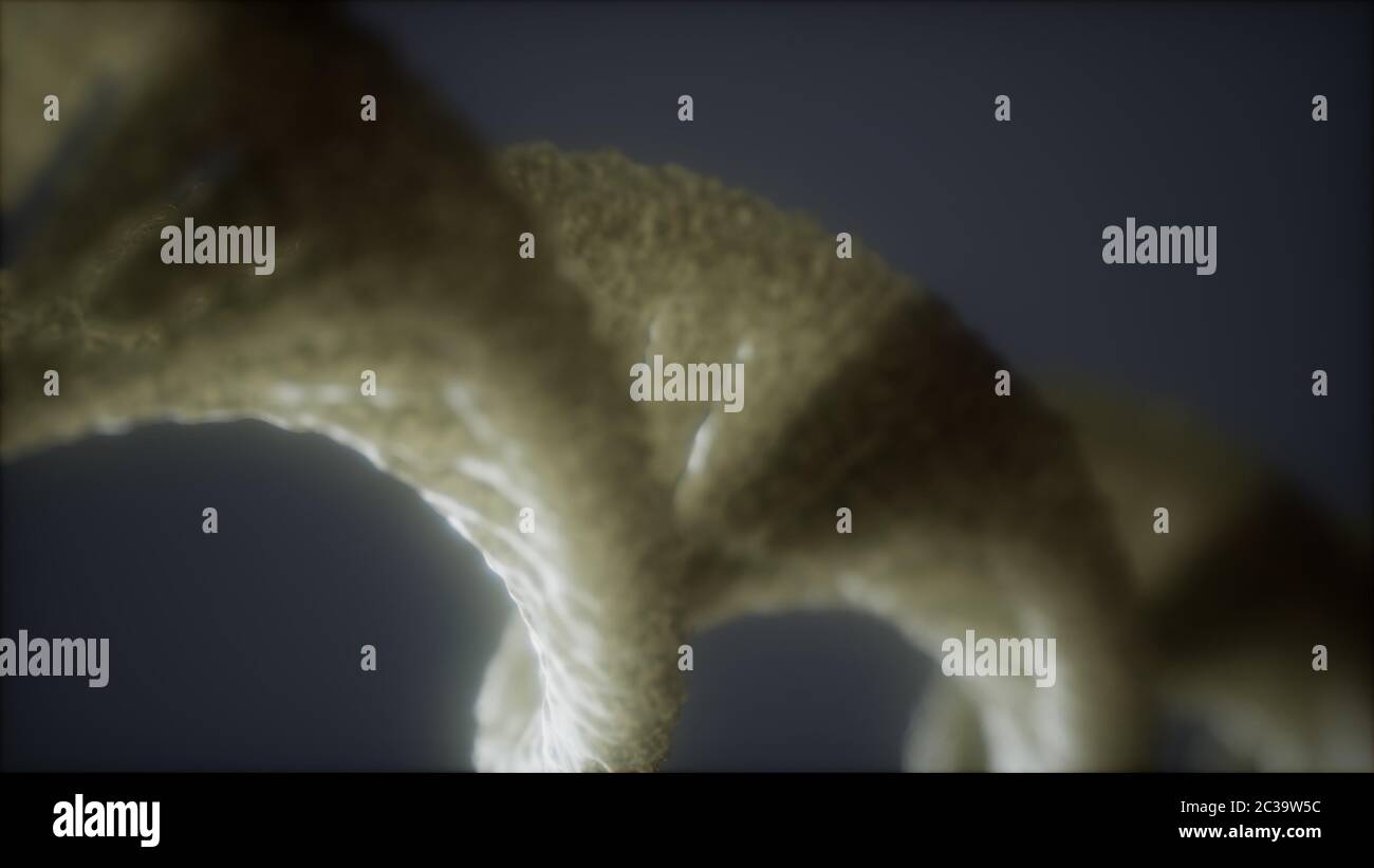 Loop double helical structure dna hi-res stock photography and images ...