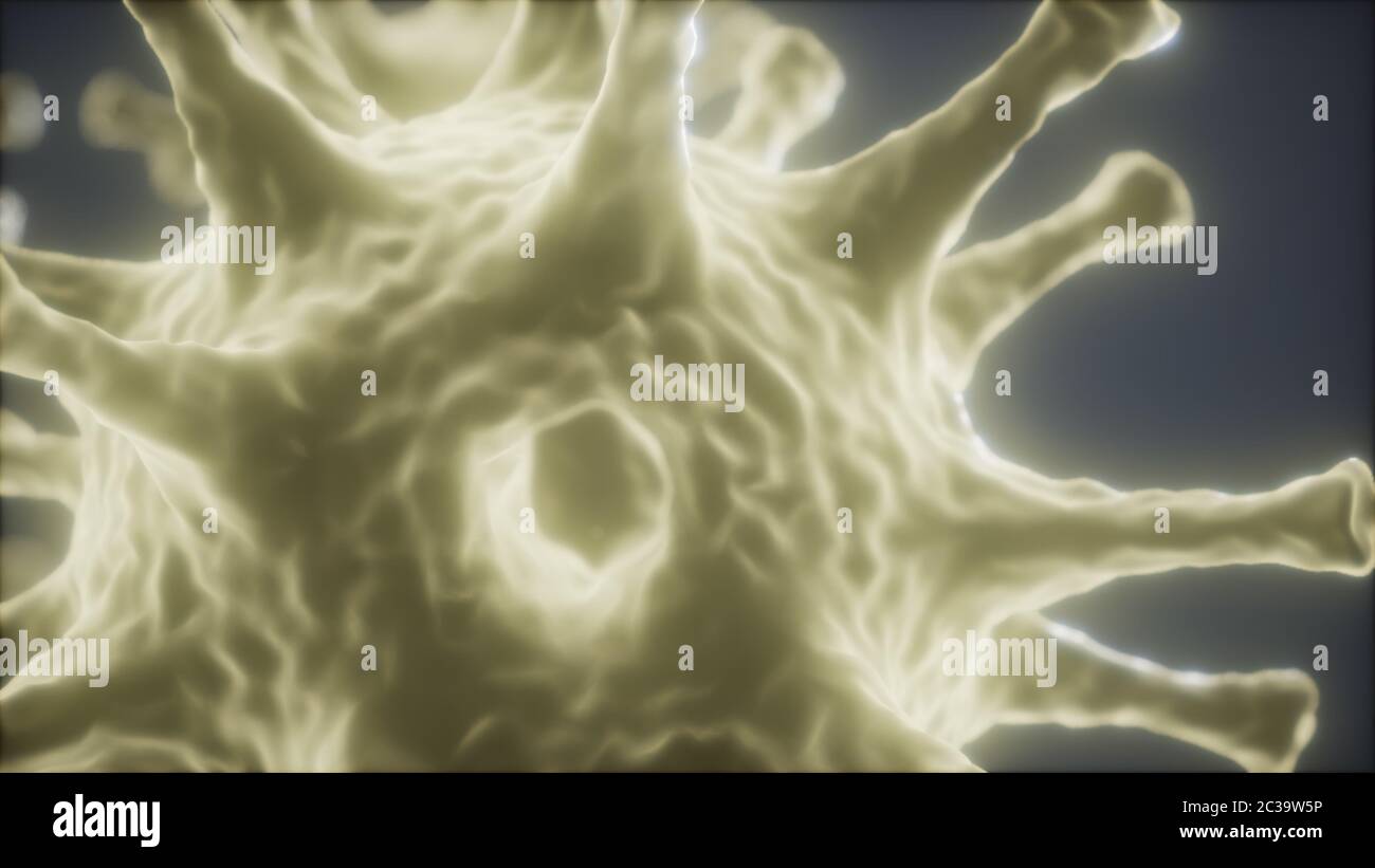 Bacteria virus or germs microorganism cells under microscope with depth ...