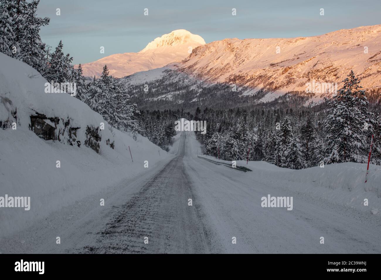 The snakes of norway hi-res stock photography and images - Alamy