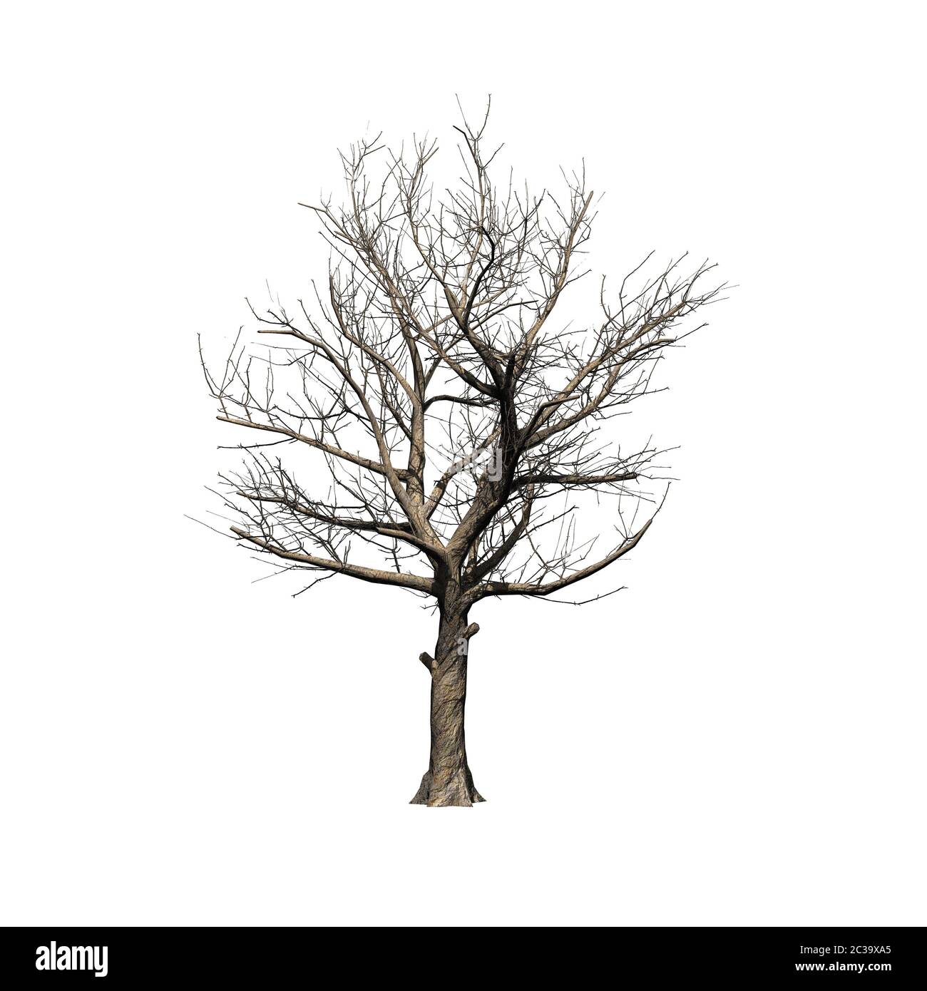 Tree trunk in the field Cut Out Stock Images & Pictures - Alamy