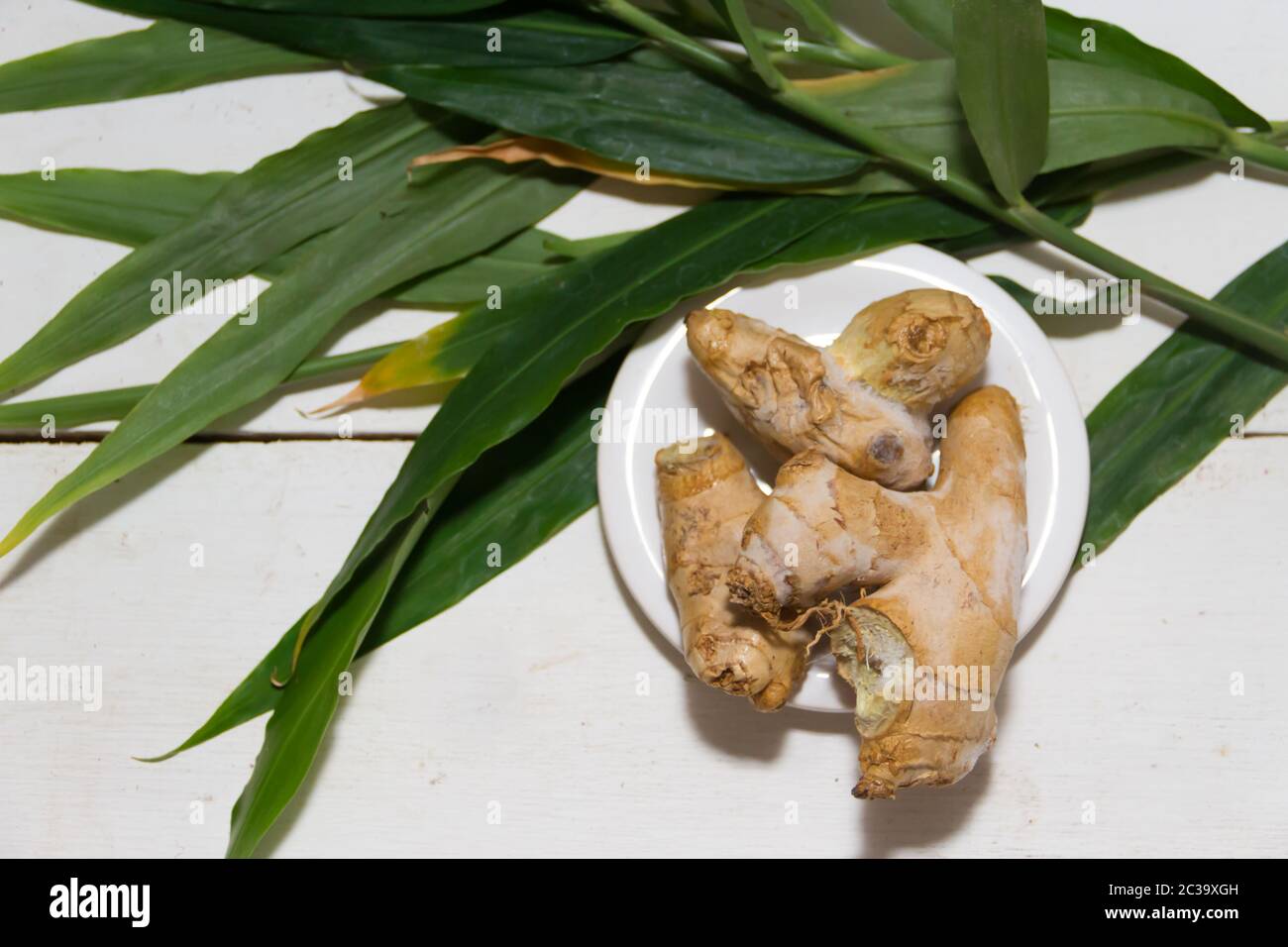 ginger plant from the organic garden on white background Stock Photo ...