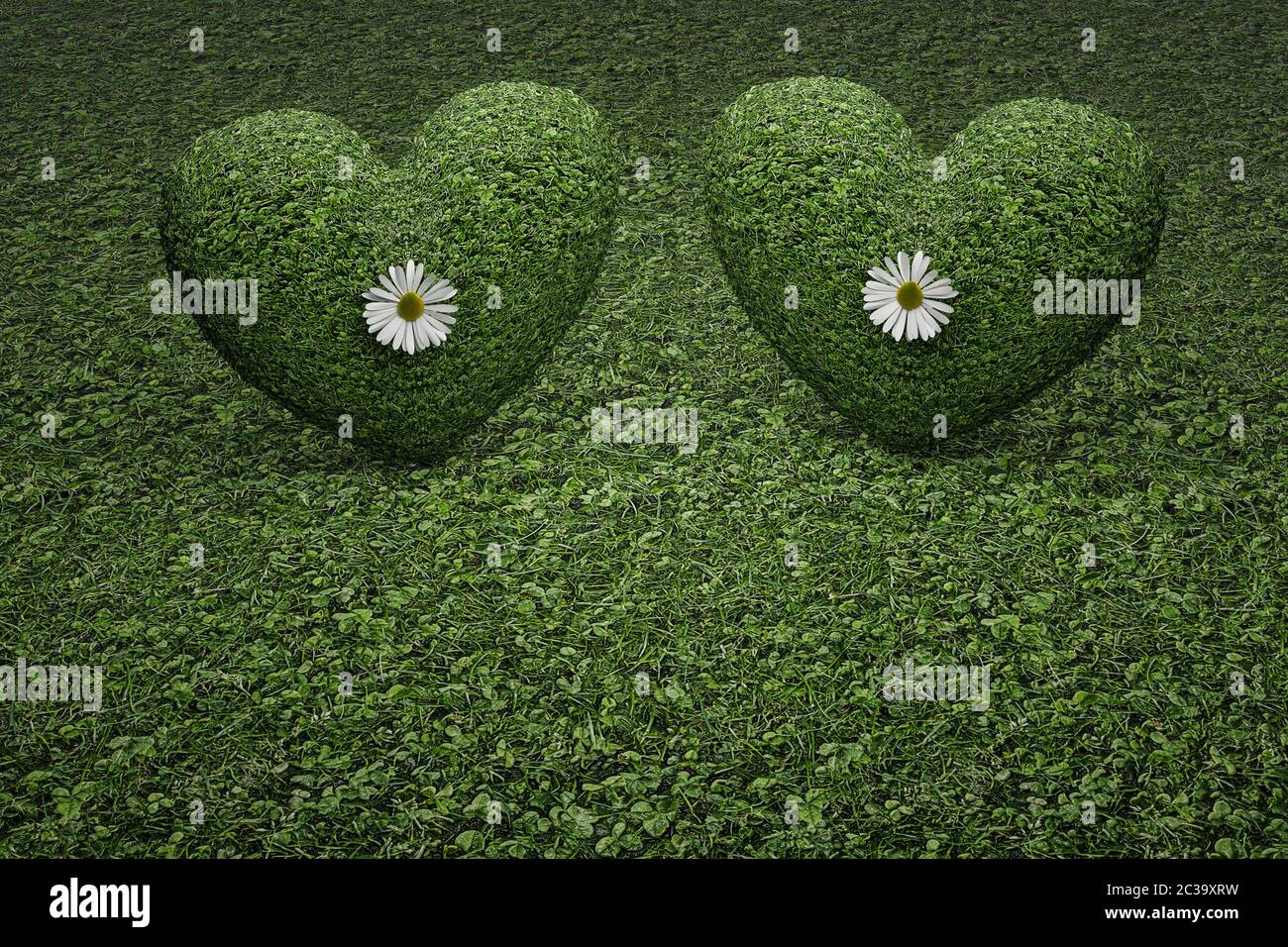 Green Grass in a heart shape with daisy flower, romantic or love nature ...