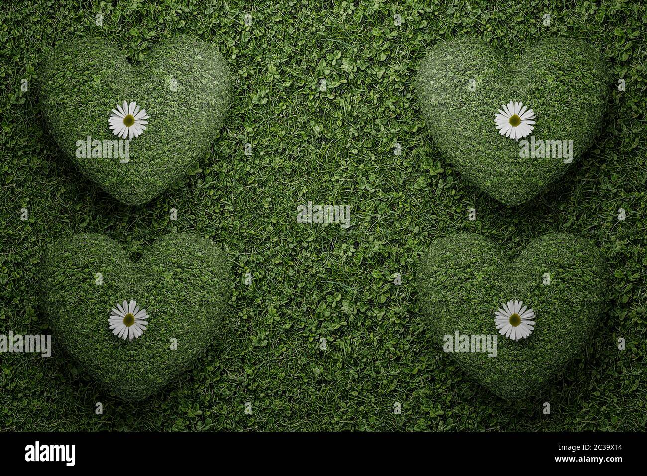 Green Grass in a heart shape with daisy flower, romantic or love nature ...