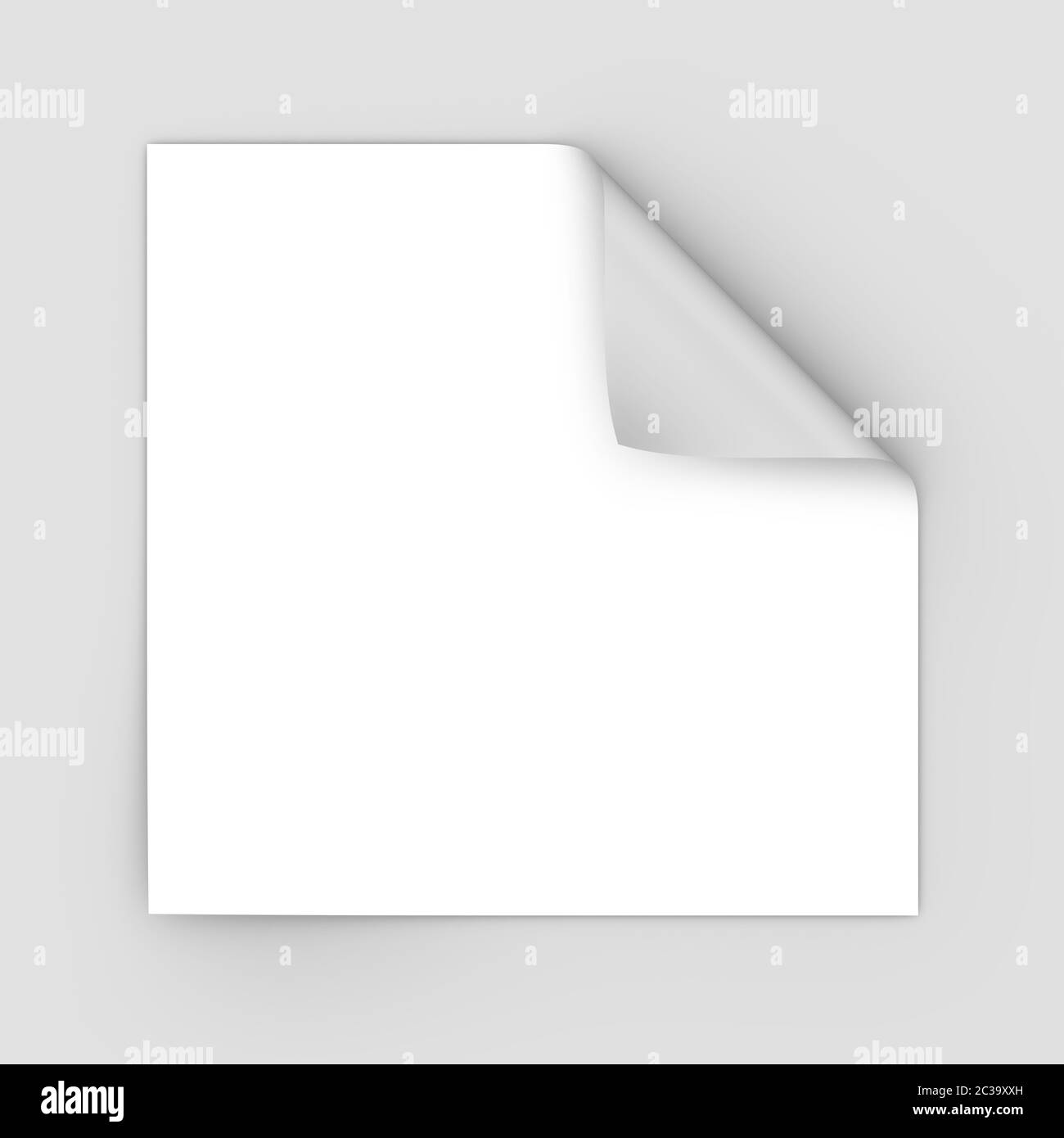 Square sheet of paper with a bent corner. 3d render Stock Photo - Alamy