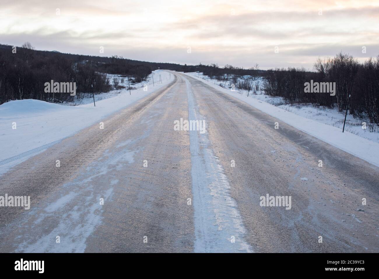 A frozen ice road passing through trees in the Arctic Circle Stock ...