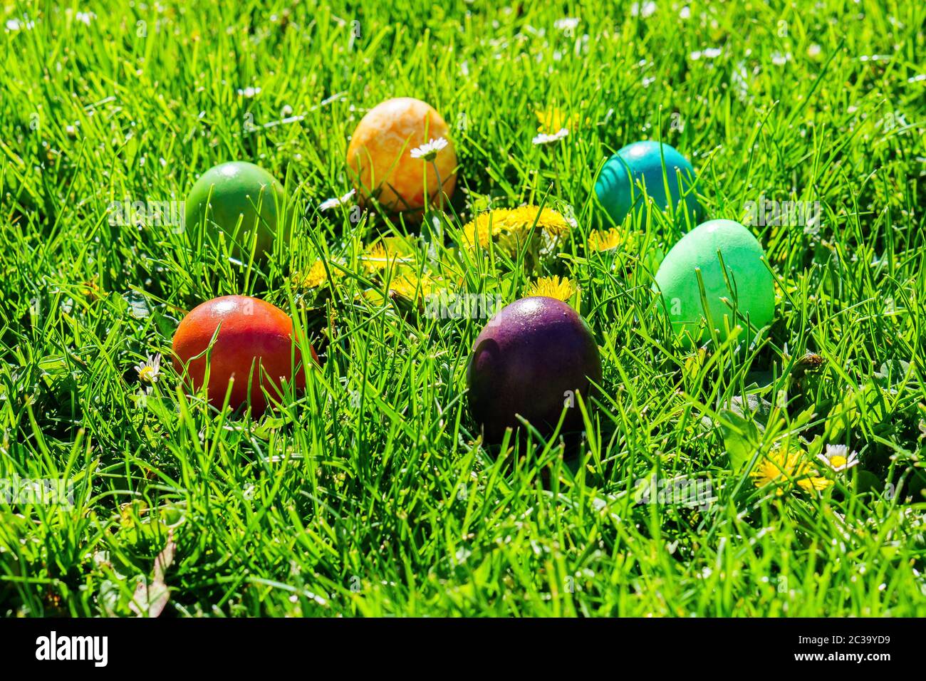 Egss hi-res stock photography and images - Alamy