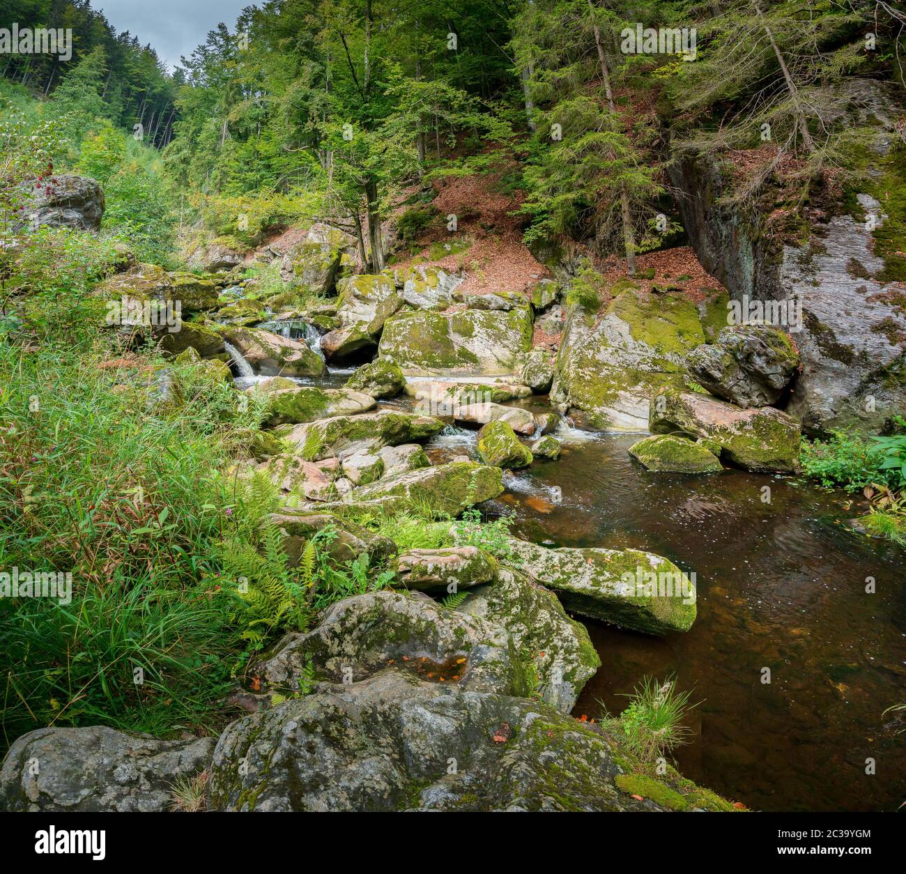 Steinbach waterfall hi-res stock photography and images - Alamy