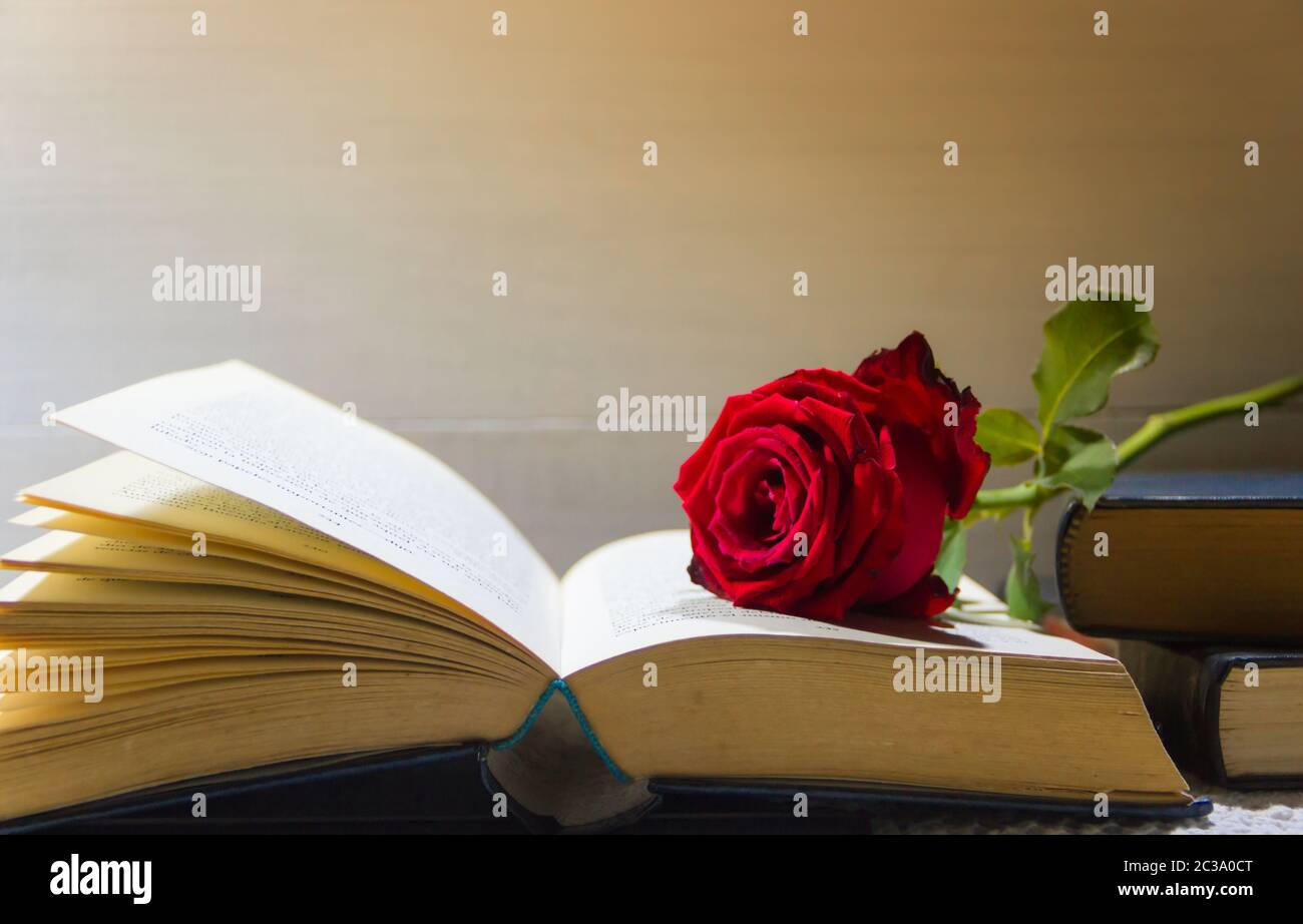 romantic red rose on the open book Stock Photo - Alamy