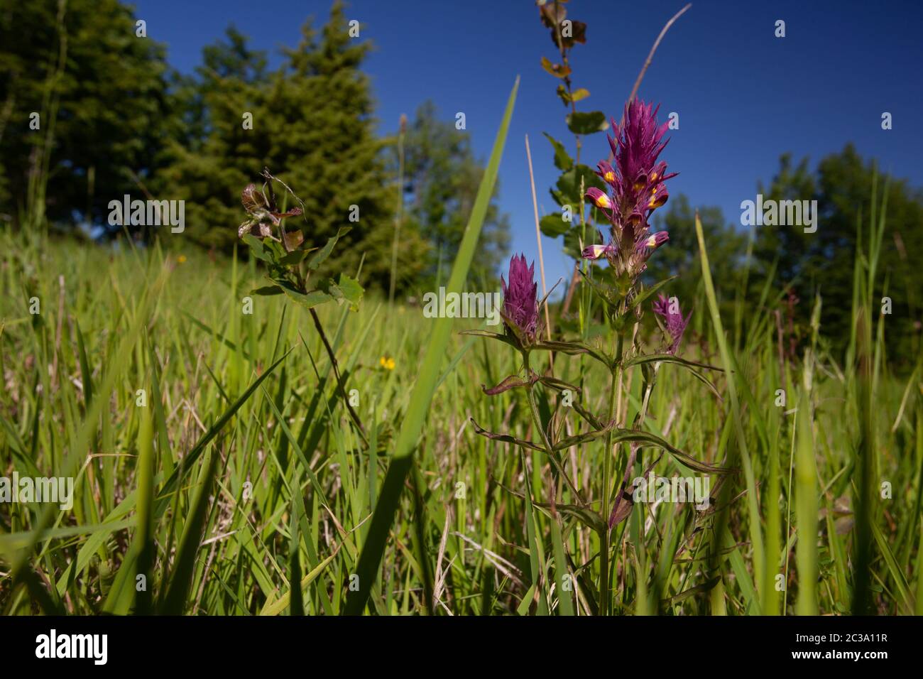 Ausflugsziel hi-res stock photography and images - Alamy