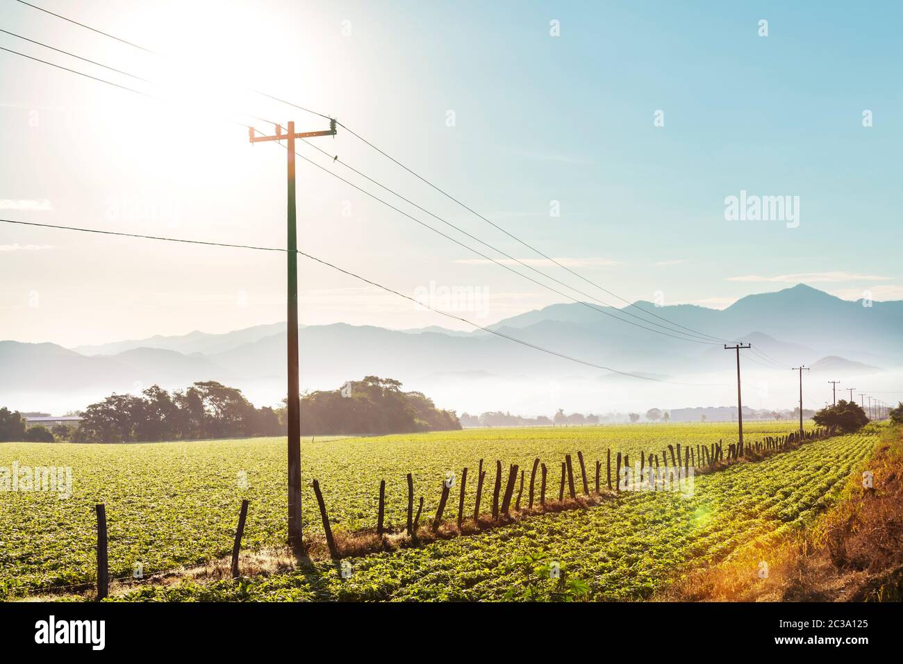 Rural powerline hi-res stock photography and images - Alamy