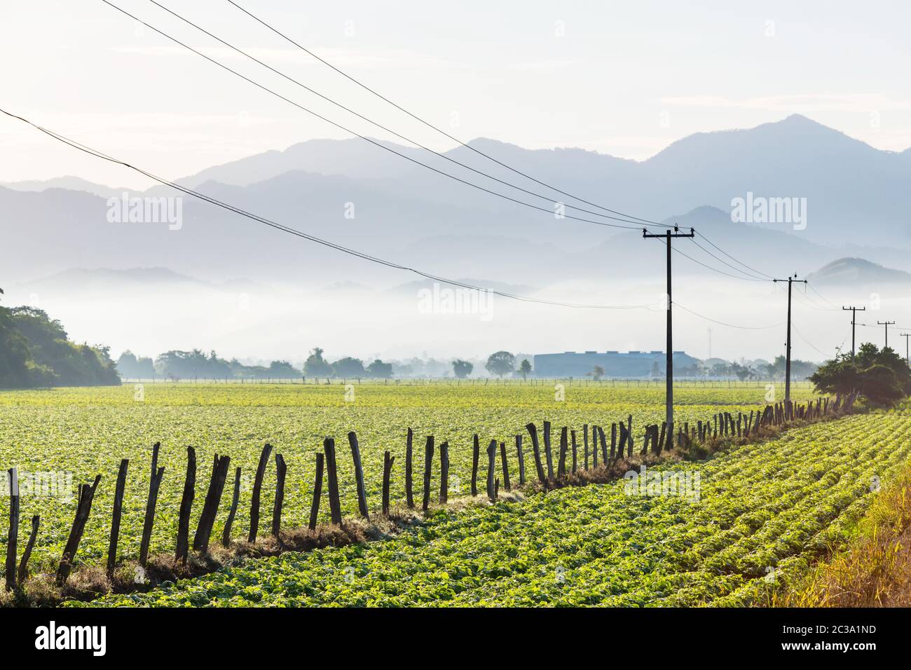 Powerline sky hi-res stock photography and images - Alamy