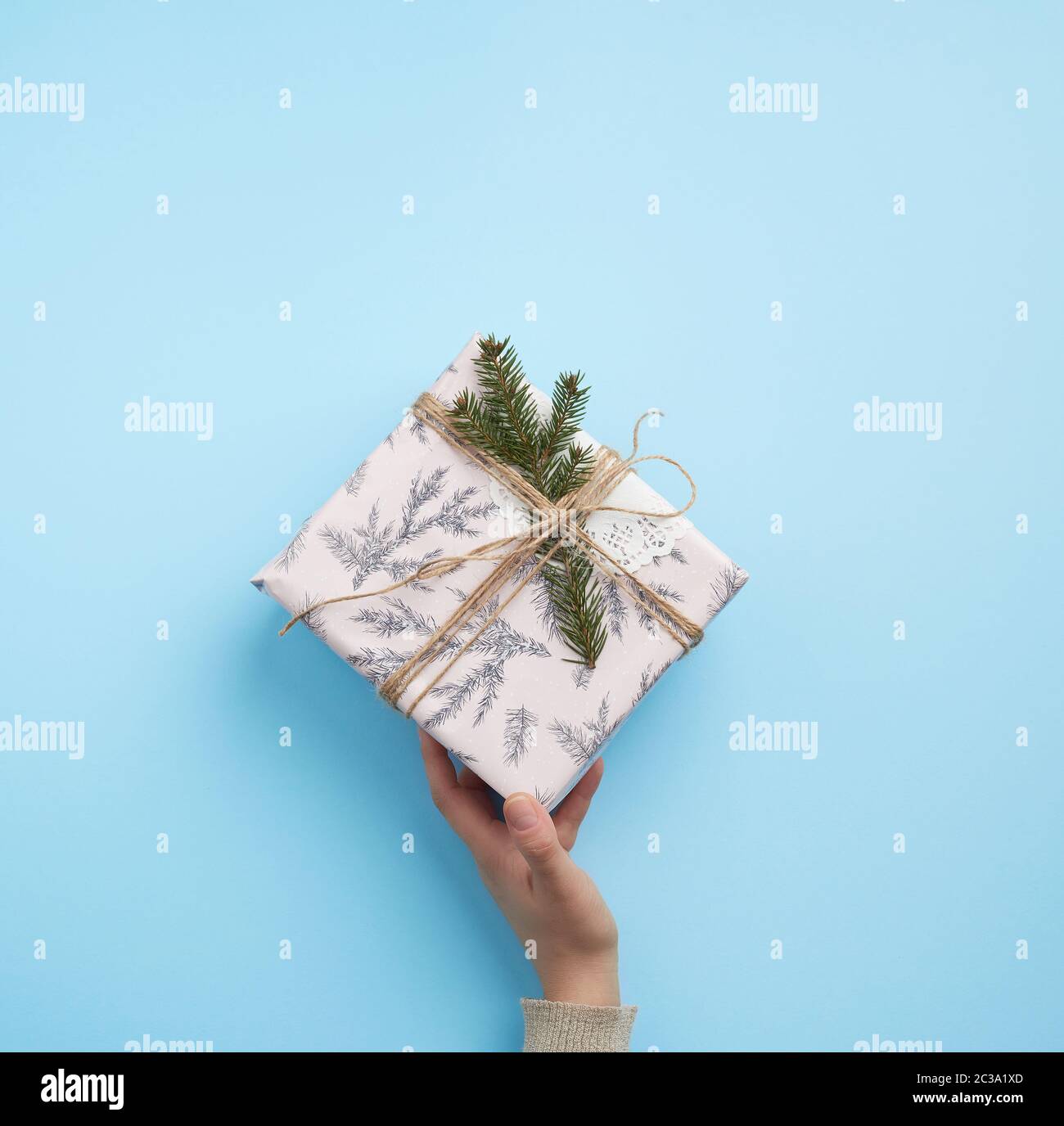 female hand hold a paper closed box on a blue background. Festive ...