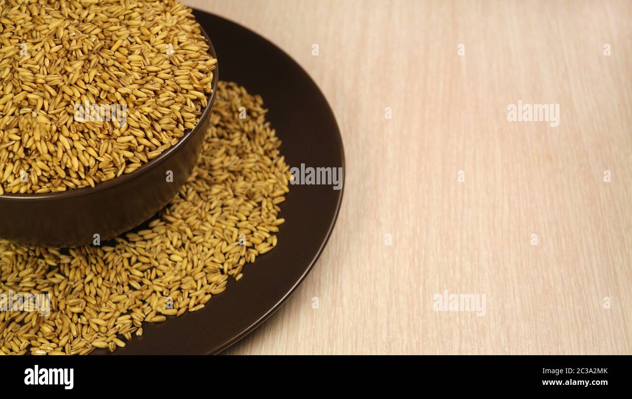 spring sowing of grain crops, bake bread from wheat of the highest ...