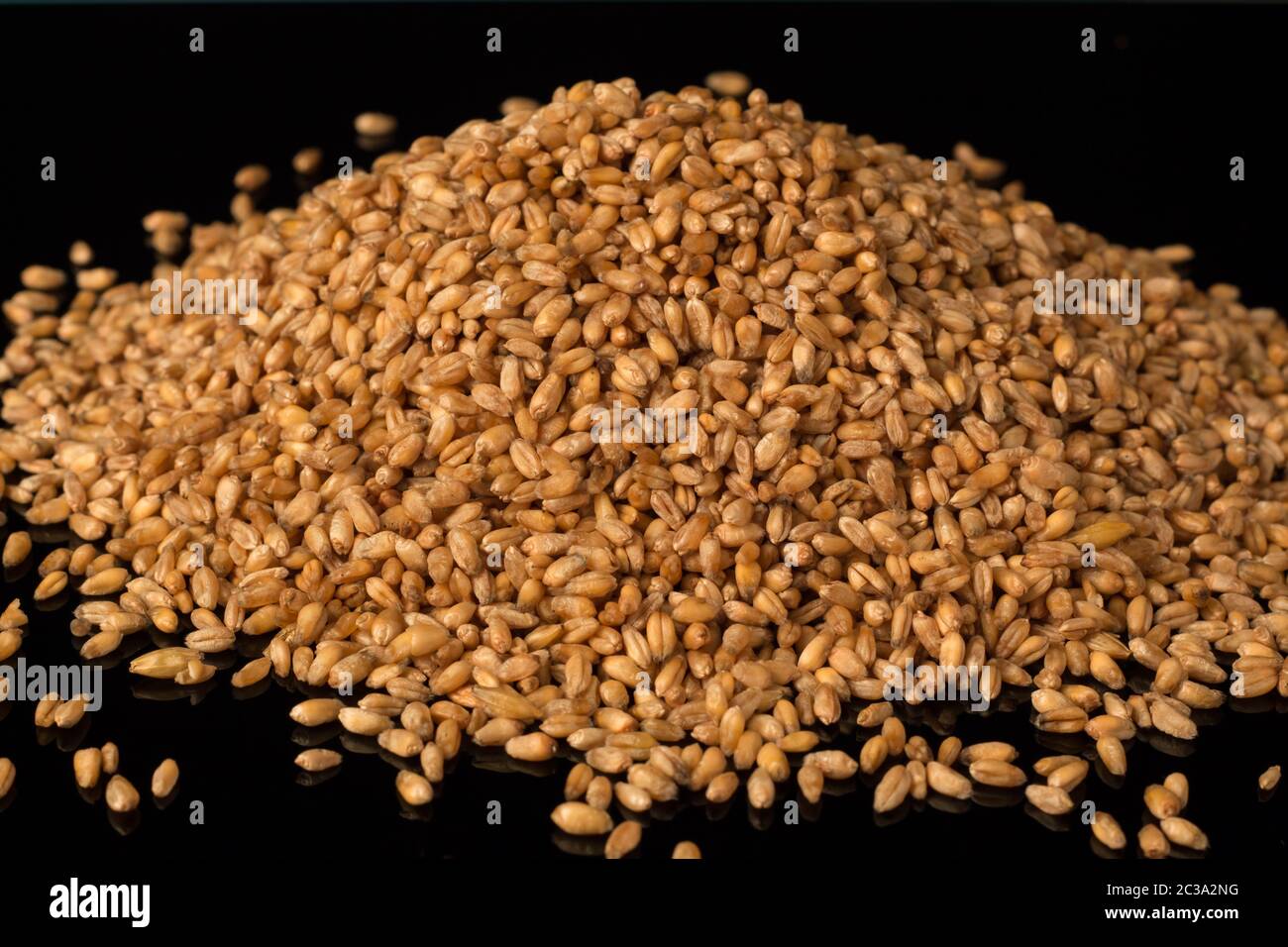 Wheat close-up. Wheat grains on a black background. Grain crop. Sowing ...