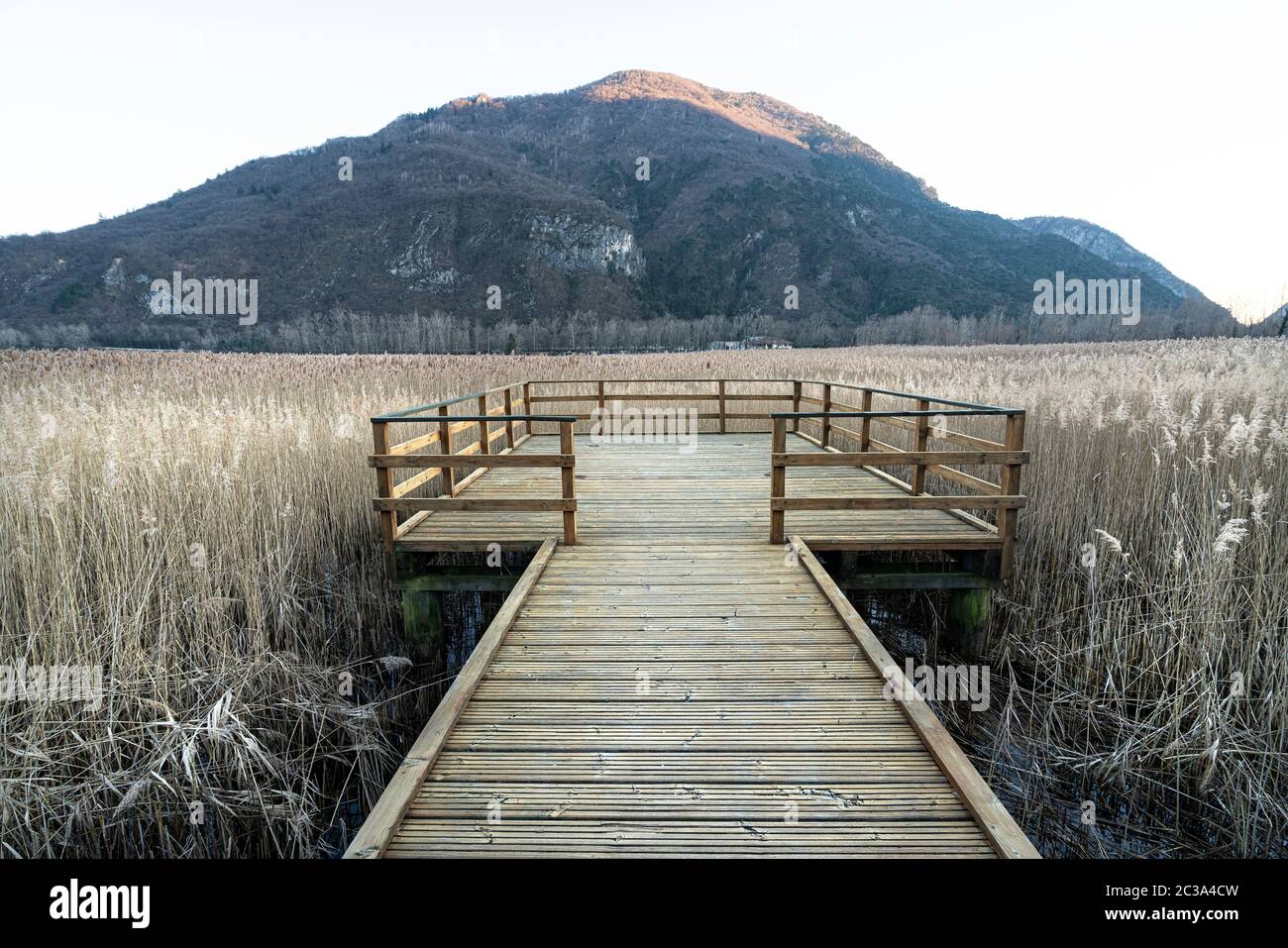 a wooden platform on the marsh Stock Photo - Alamy