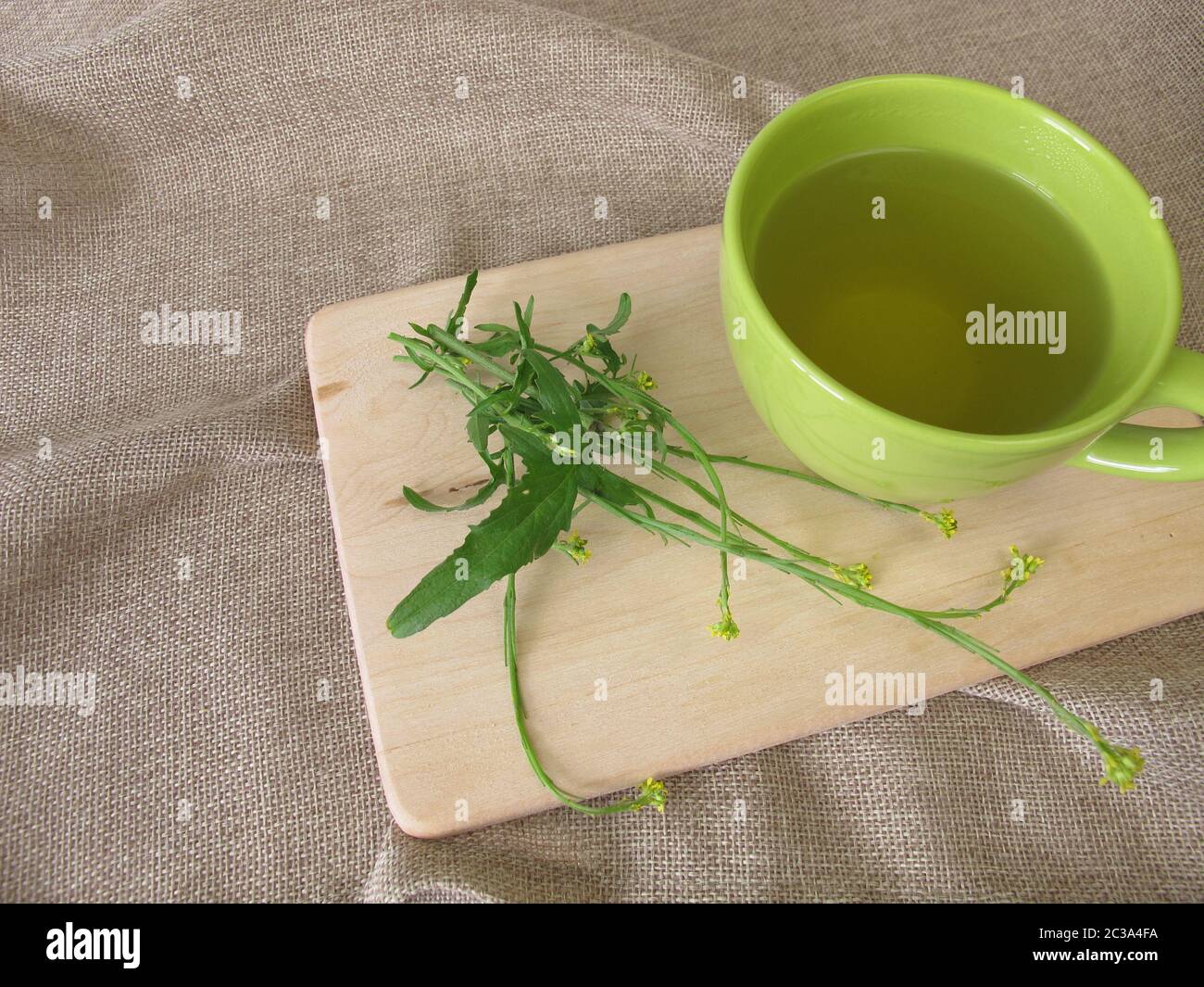 Hedge mustard tea hi-res stock photography and images - Alamy