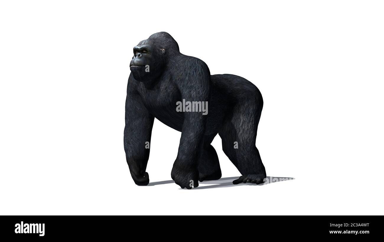 Floor mountain Cut Out Stock Images & Pictures - Alamy