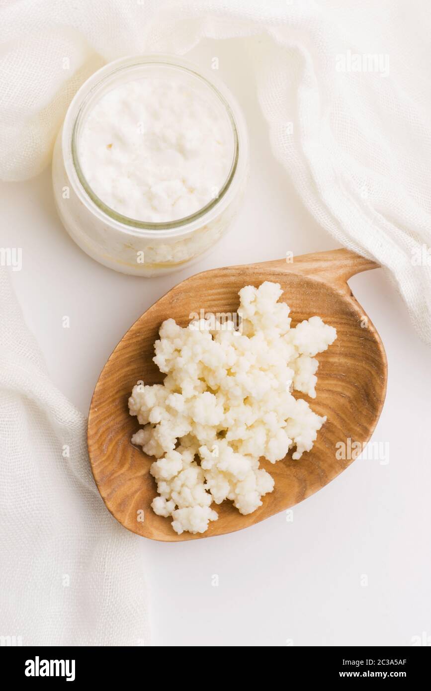 Milk kefir grains in spoon. Yeast bacterial fermentation starter Stock ...