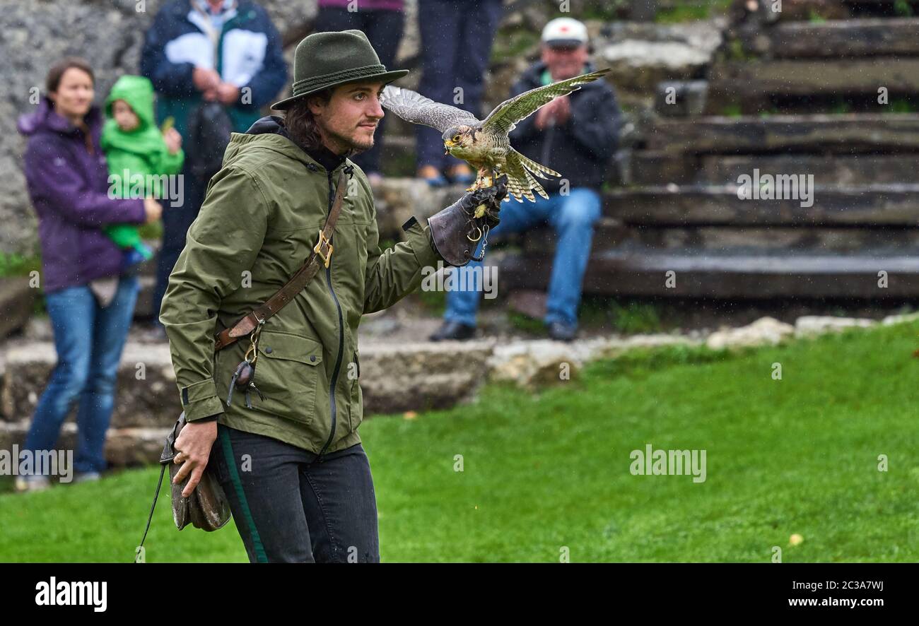 Birds falconry show in Hohenwerfen castle, Salzkammergut, Austria Stock ...