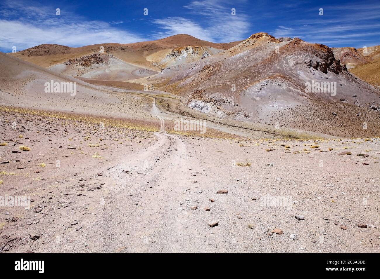 Landscape with trail in the Puna de Atacama, Argentina. Puna de Atacama ...