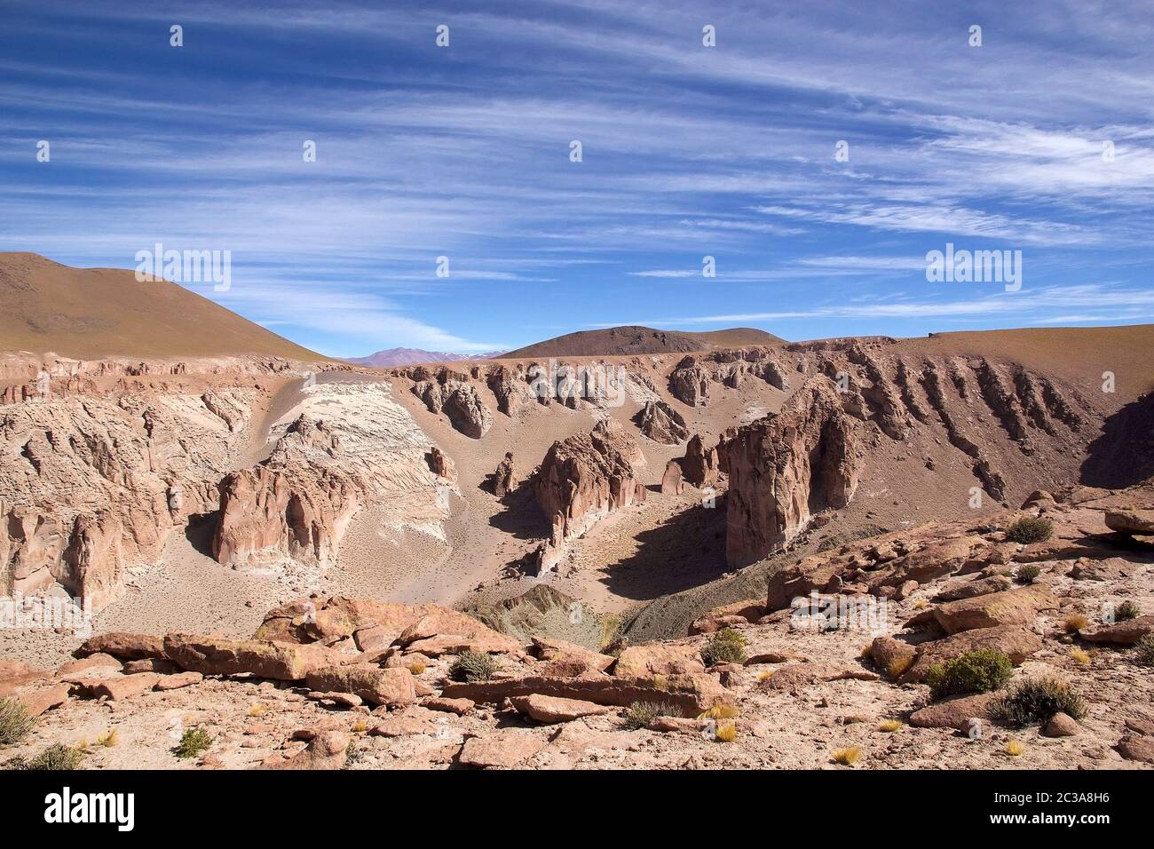 Landscape in the Puna de Atacama, Argentina. Puna de Atacama is an arid ...