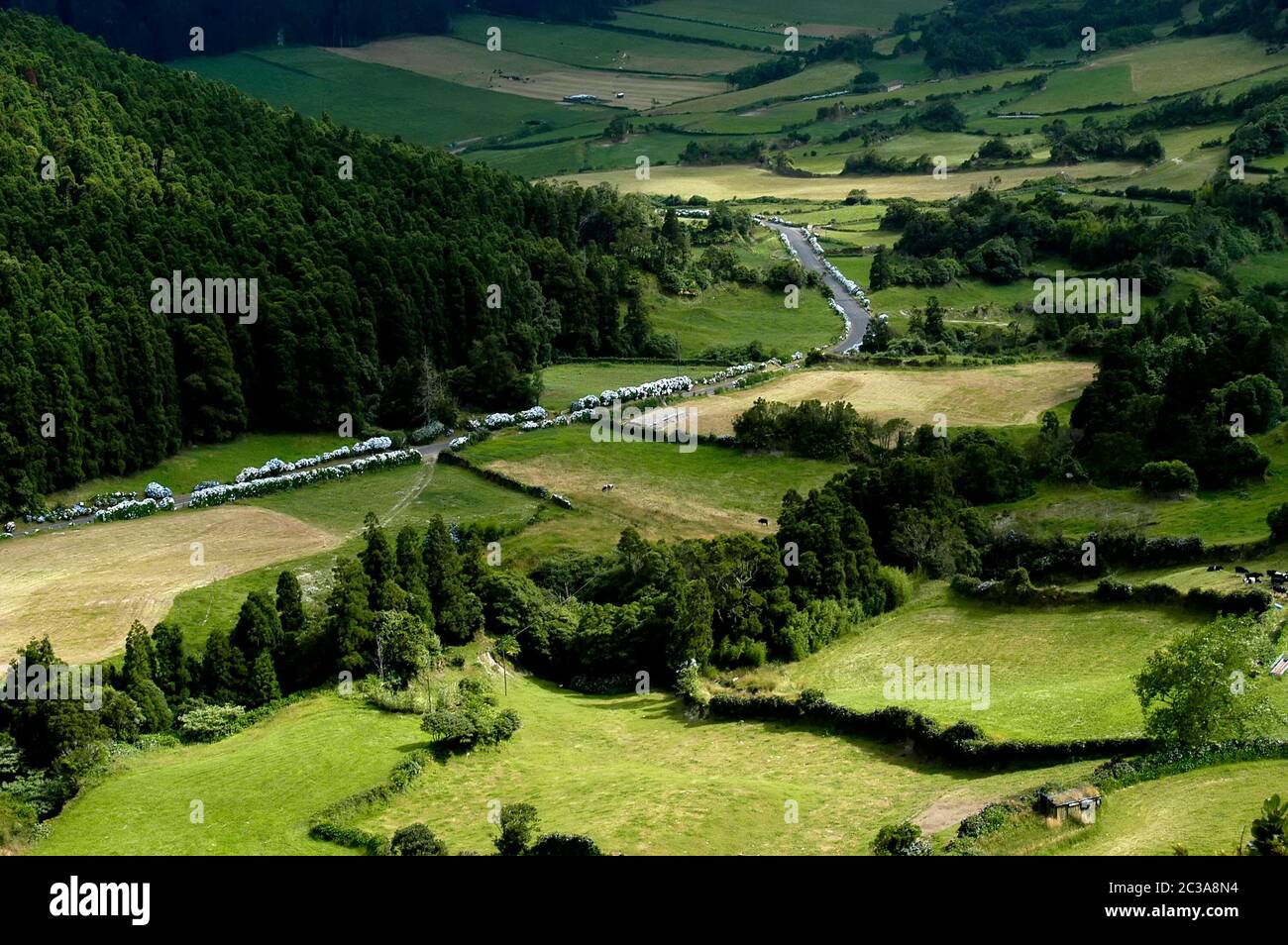 azores green fields from above in sao miguel Stock Photo - Alamy