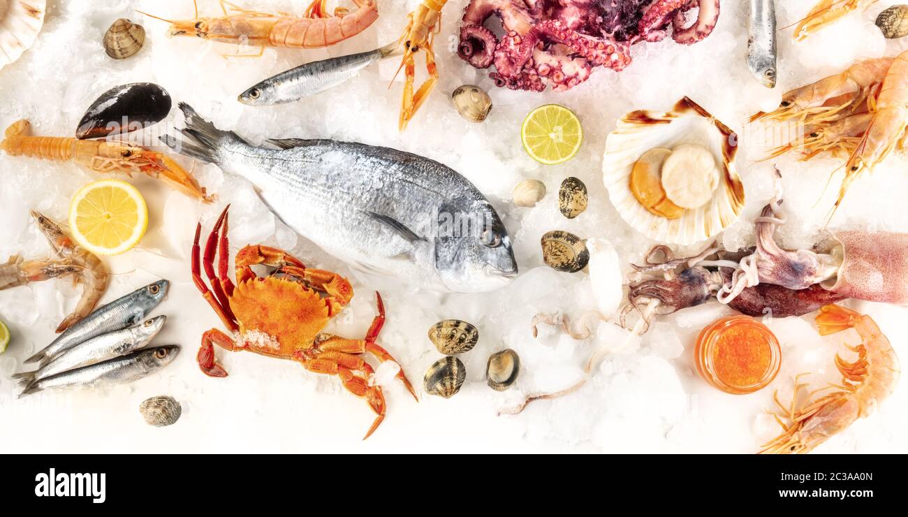 Fish and seafood panorama, an overhead flat lay shot of various fresh ...