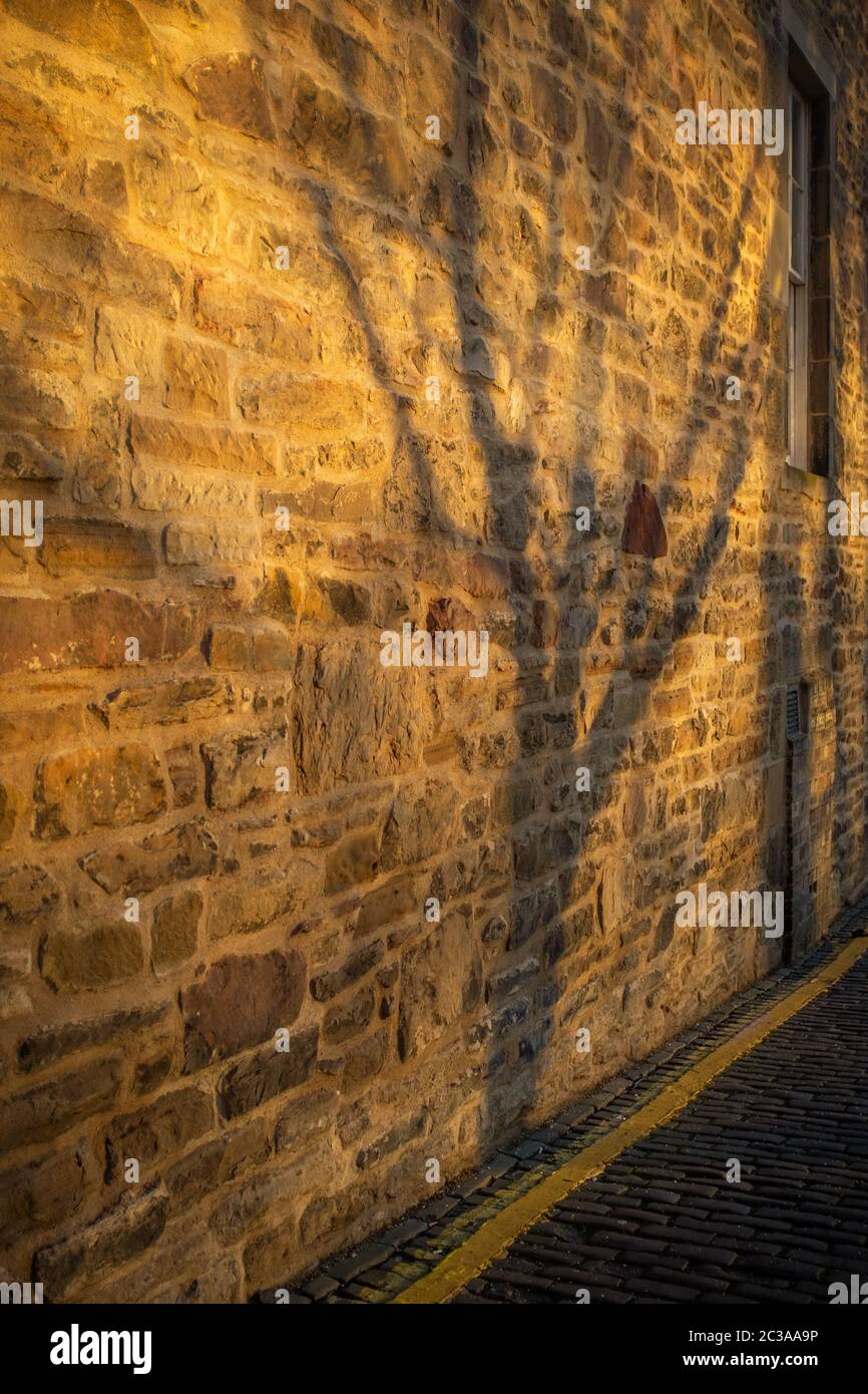 Strong shadow photography hi-res stock photography and images - Alamy