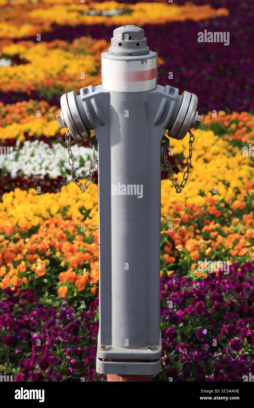 Hydrant in Kempten one of the oldest cities in Germany Stock Photo - Alamy