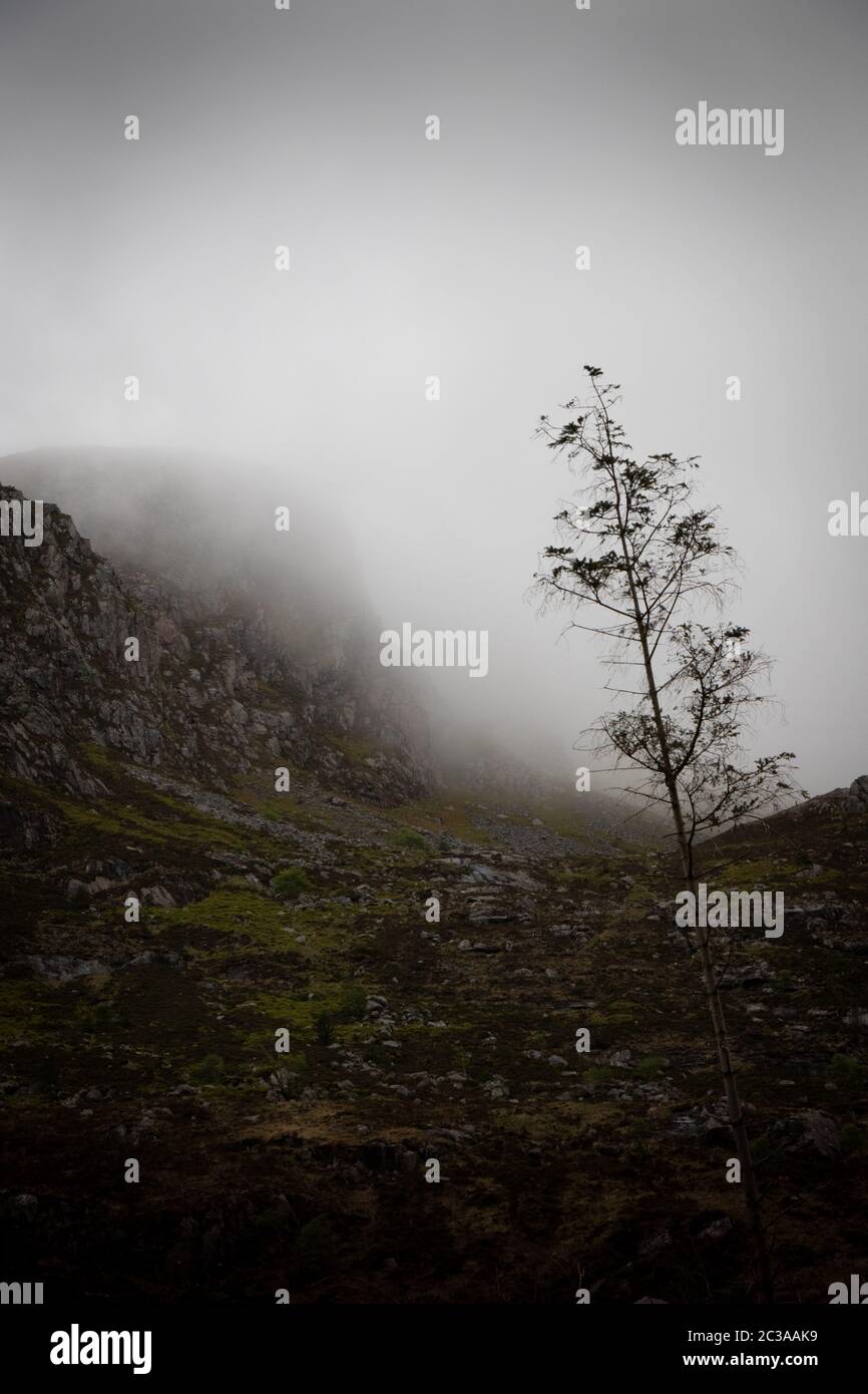 Mysterious, foggy Scottish highland mountain top with rocky cliff face ...