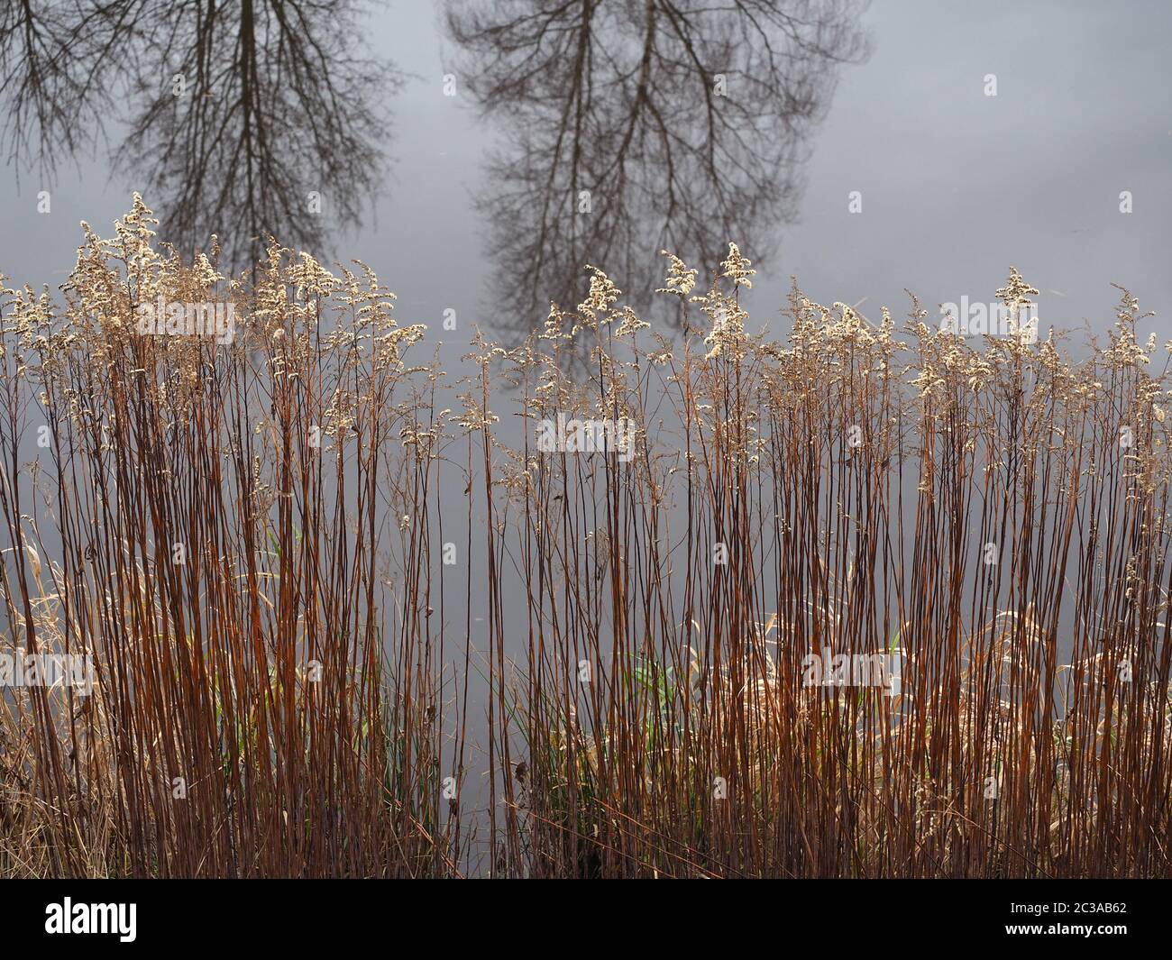 Shore waters hi-res stock photography and images - Alamy