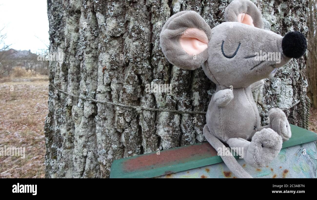 The soft toy rat sits on an old metal mailbox Stock Photo - Alamy