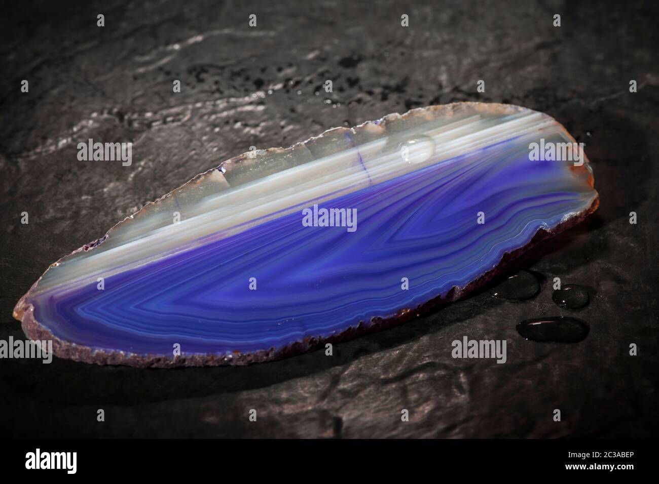 Elongated plate hi-res stock photography and images - Alamy