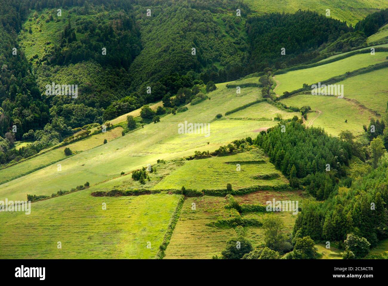 azores natural landscape in s miguel island Stock Photo - Alamy