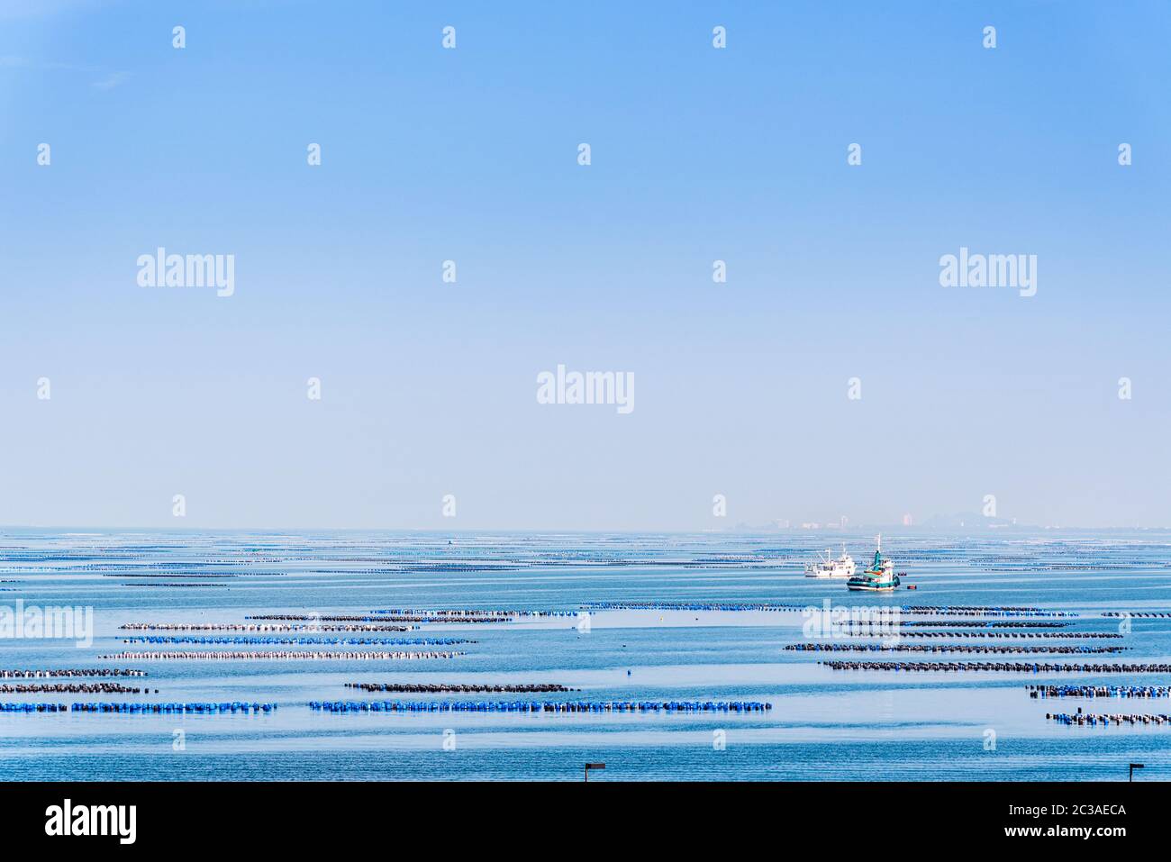 Perna hi-res stock photography and images - Alamy