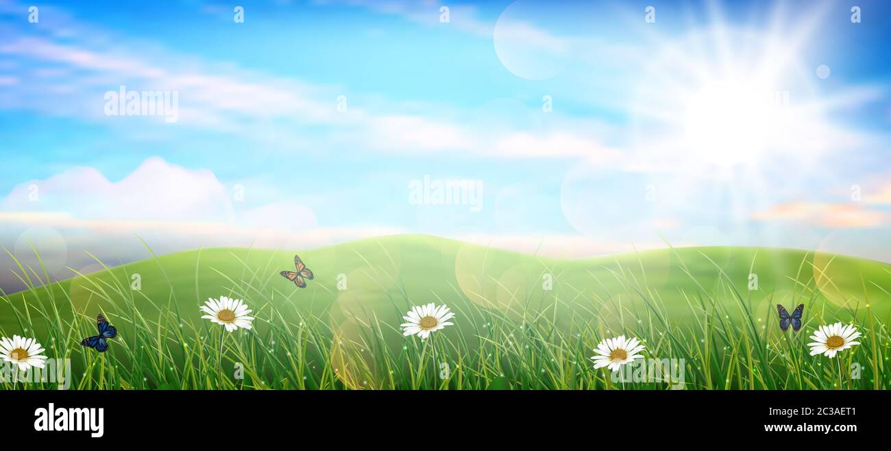 Beautiful spring meadow colorful flowers Stock Photo - Alamy